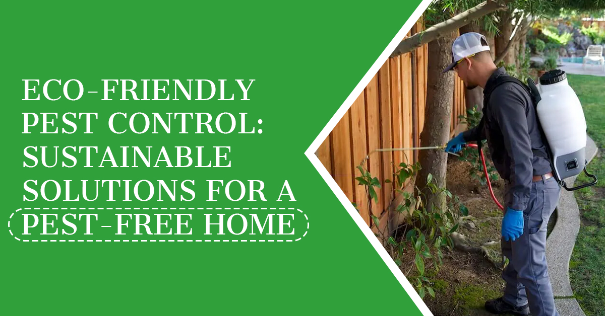 Eco-Friendly Pest Control Solutions | Ranger Pest Control
